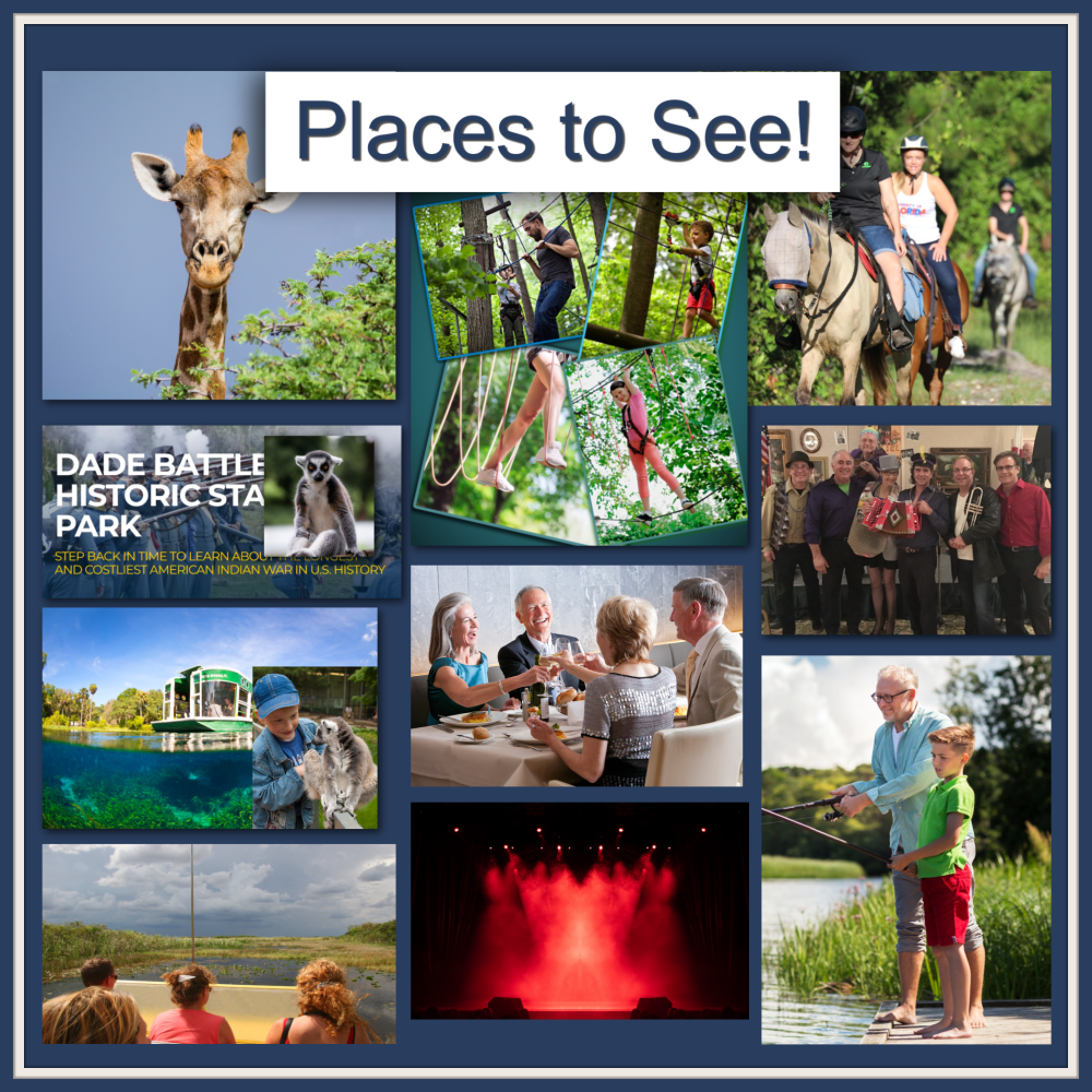 Find Fun Places Near Webster Florida for Everyone - Sunshine Village